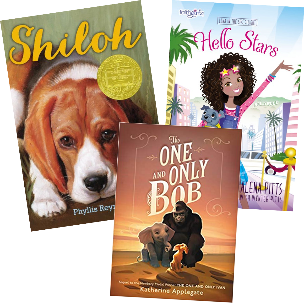 Summer Reading - Northville Christian School